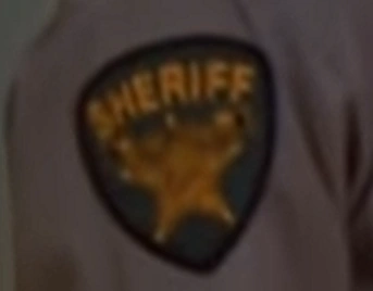 Metro County Sheriff's Department (Viper) | Fictional Police Forces in ...