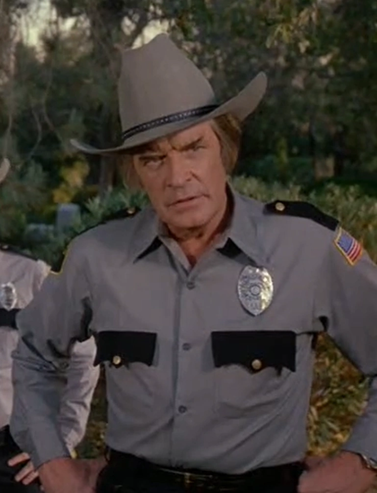 Federalsberg County Sheriff Office | Fictional Police Forces in USA ...