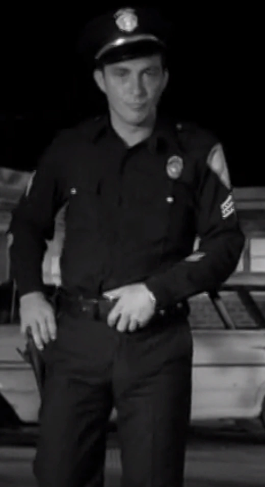 Donnivale Police Department | Fictional Police Forces in USA Media Wiki ...