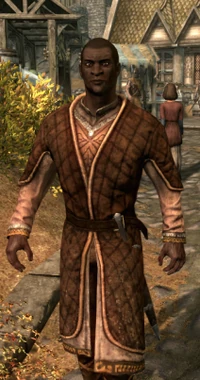 Redguard | Fictional Races Wiki | Fandom
