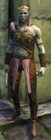 Aelfwar | Fictional Races Wiki | Fandom