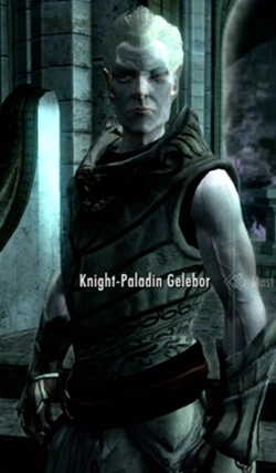 Snow elf | Fictional Races Wiki | Fandom