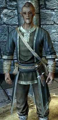 Bosmer | Fictional Races Wiki | Fandom