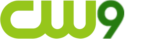 Cartoon Nothing | Fictionaltvstations Wiki | Fandom