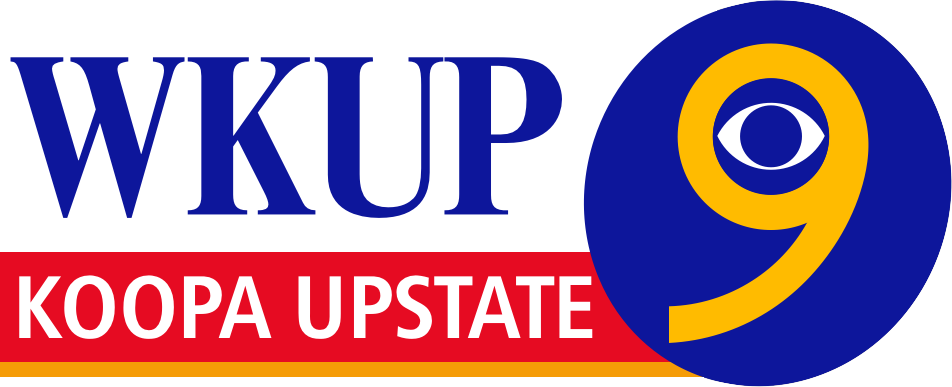 MSPA-TV | Fictionaltvstations Wiki | Fandom