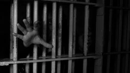 The Montford Experiment | The Library Wikia | Fandom