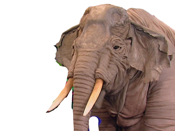 Maxine the Elephant | FictionRulezForever Wiki | Fandom