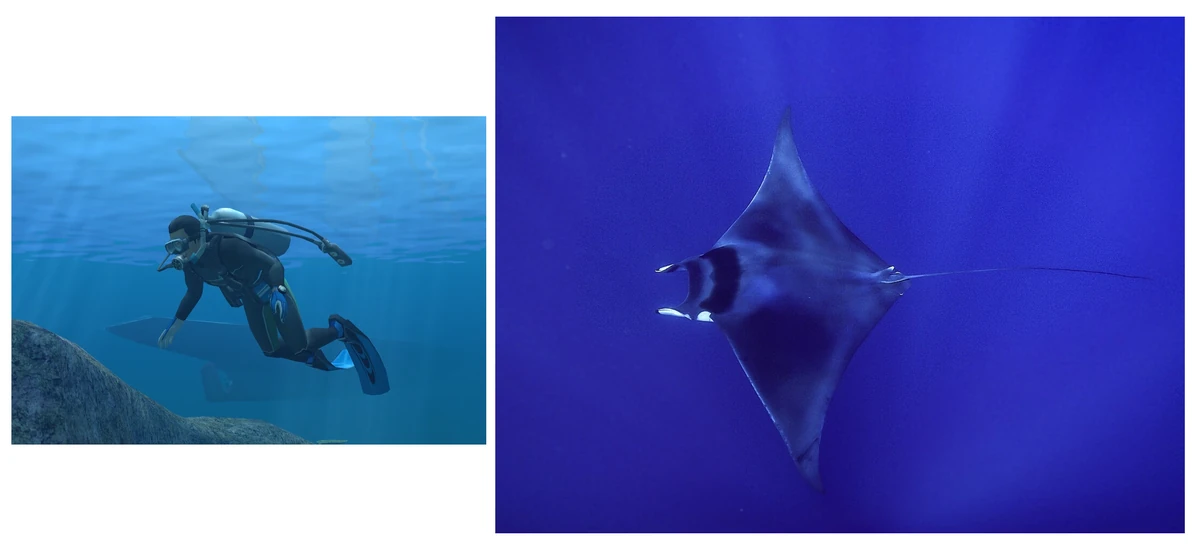 Endless Ocean Player and his Ocean Animal Friends | FictionRulezForever ...