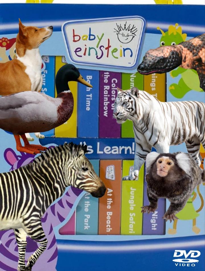 Baby Einstein (Real Life Animal Style) | FictionRulezForever Wiki | Fandom
