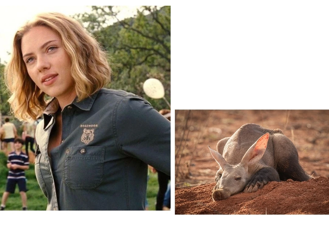 Kelly Foster and her Zoo Animal Friends | FictionRulezForever Wiki | Fandom