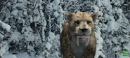Smilodon | FictionRulezForever Wiki | Fandom