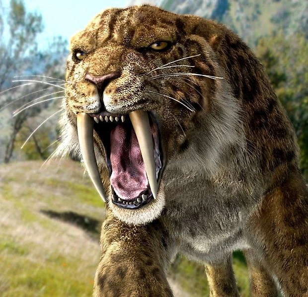 Smilodon | FictionRulezForever Wiki | Fandom
