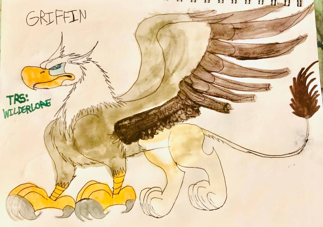 Gryphon/Gallery/Fan Art | FictionRulezForever Wiki | Fandom