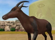 Topi | FictionRulezForever Wiki | Fandom