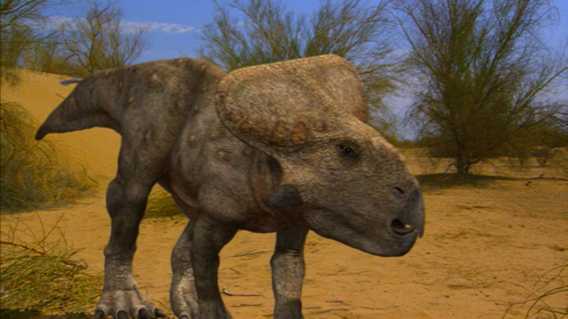 Protoceratops Fictionrulezforever Wiki Fandom