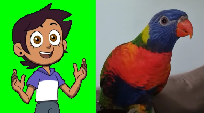 Luz Noceda and Her Animal Friends/Avians | FictionRulezForever Wiki | Fandom