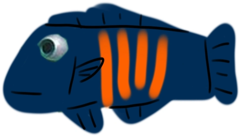 Rust-Banded Wrasse | FictionRulezForever Wiki | Fandom
