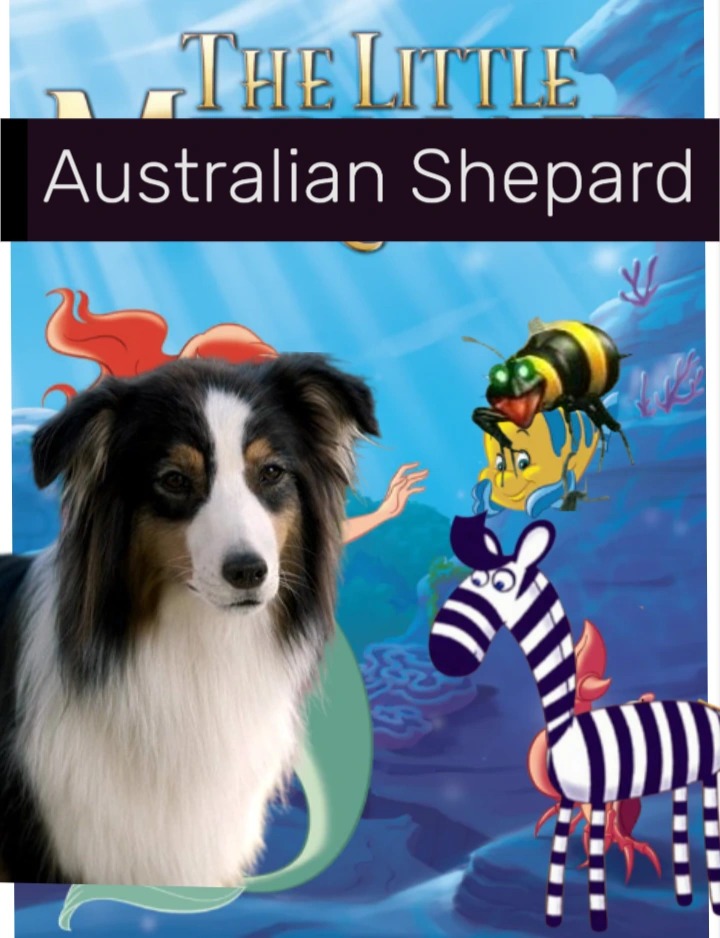 The Little Australian Shepard | FictionRulezForever Wiki | Fandom
