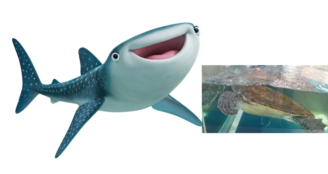 Destiny and her Aquarium Animal Friends | FictionRulezForever Wiki | Fandom