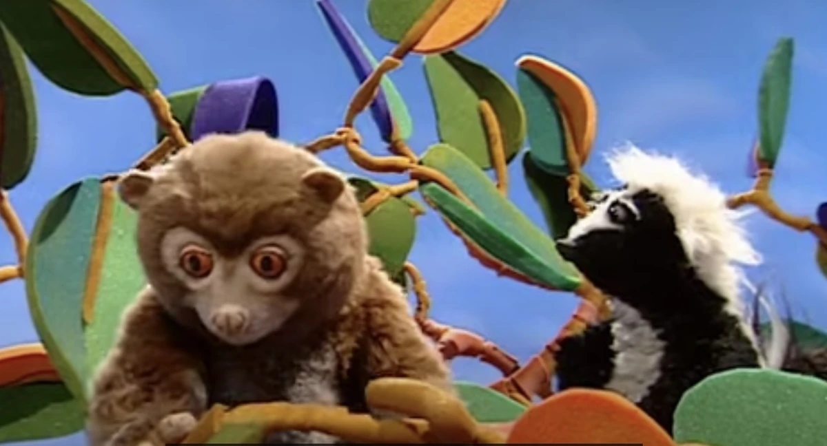 Lulu the Potto | FictionRulezForever Wiki | Fandom