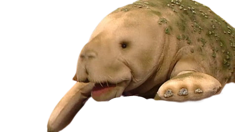 Blanche the Manatee | FictionRulezForever Wiki | Fandom