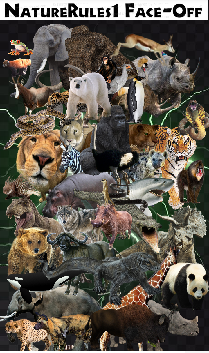 NatureRules1 Face-Off | FictionRulezForever Wiki | Fandom