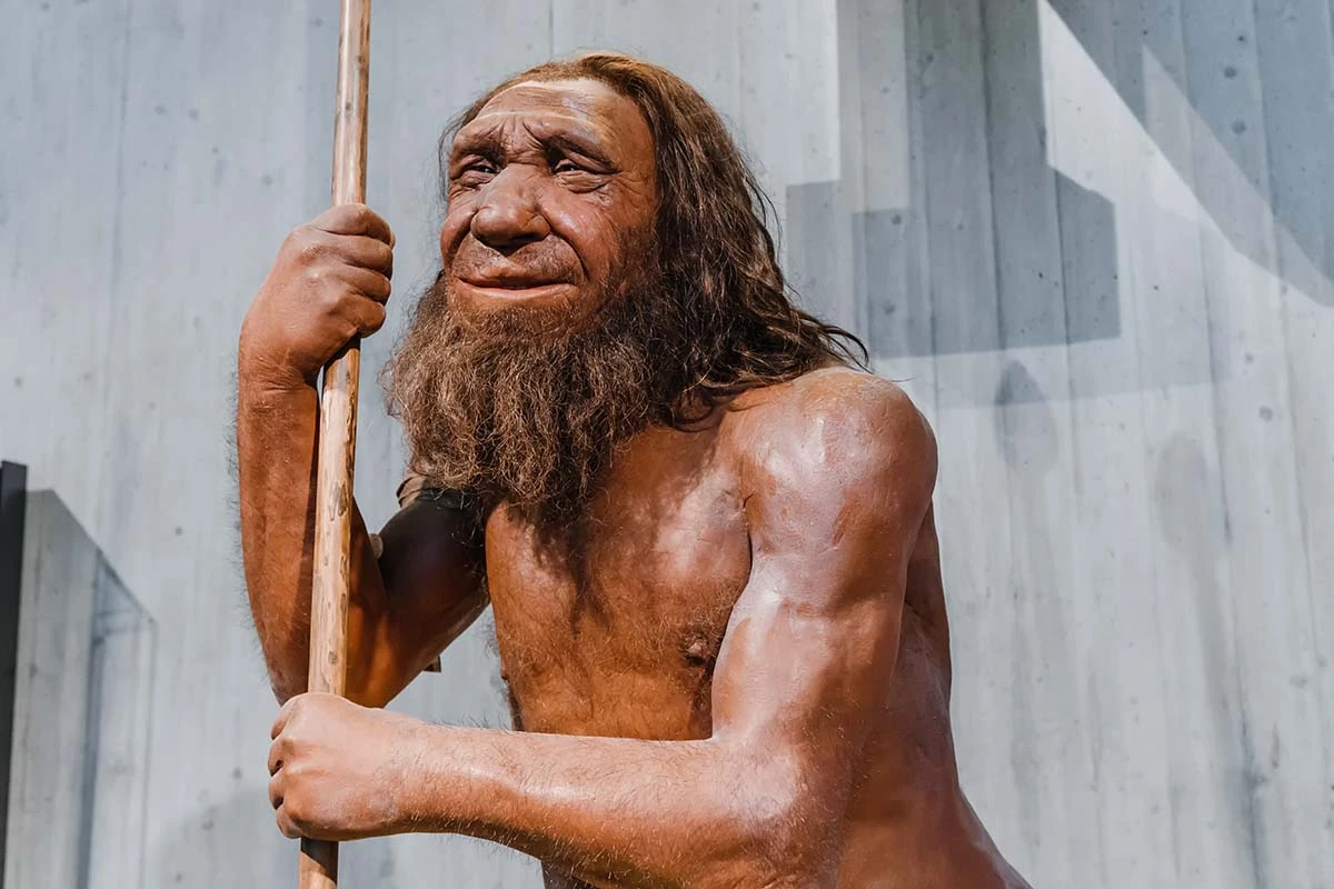 Neanderthal | FictionRulezForever Wiki | Fandom