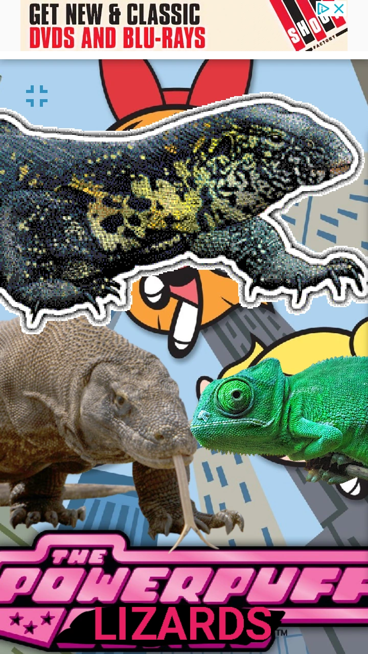The Powerpuff Lizards | FictionRulezForever Wiki | Fandom