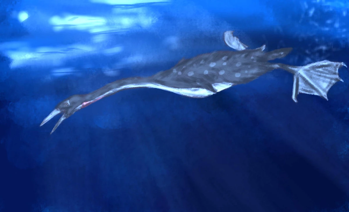 Baptornis | FictionRulezForever Wiki | Fandom