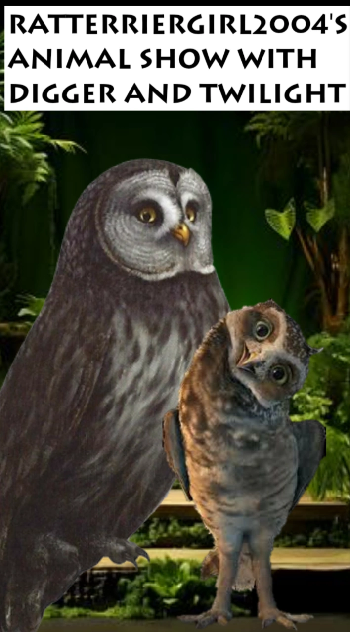 Ratterriergirl2004's Animal Show With Digger and Twilight ...