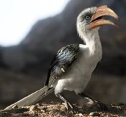 Toons, Inc. (Monsters, Inc.; 2001) | FictionRulezForever Wiki | Fandom