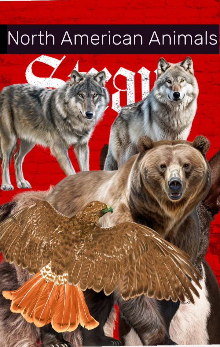 North American Animals (Strays) | FictionRulezForever Wiki | Fandom