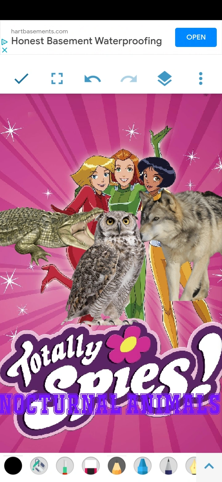 Totally Nocturnal Animals | FictionRulezForever Wiki | Fandom