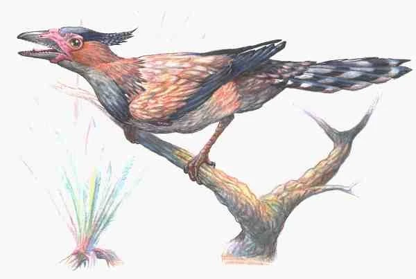 Sinornis | FictionRulezForever Wiki | Fandom