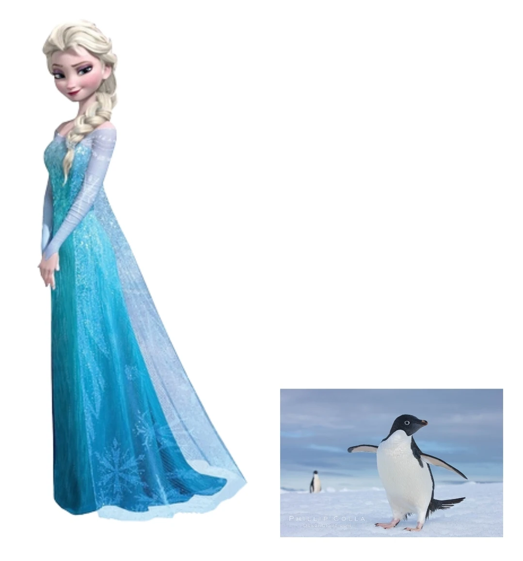 Elsa and her Polar Animal Friends | FictionRulezForever Wiki | Fandom