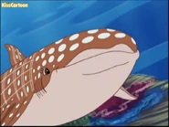 List of Species in Go, Diego, Go! | FictionRulezForever Wiki | Fandom