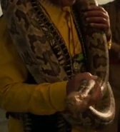 Burmese Python | FictionRulezForever Wiki | Fandom
