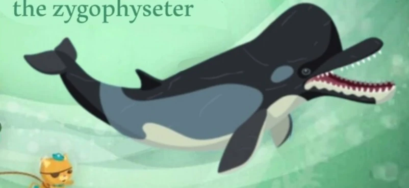 Zygophyseter | FictionRulezForever Wiki | Fandom