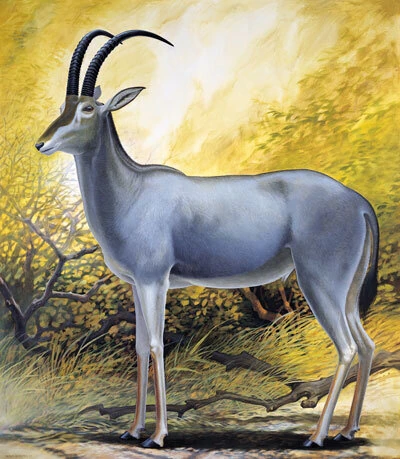 Bluebuck | FictionRulezForever Wiki | Fandom