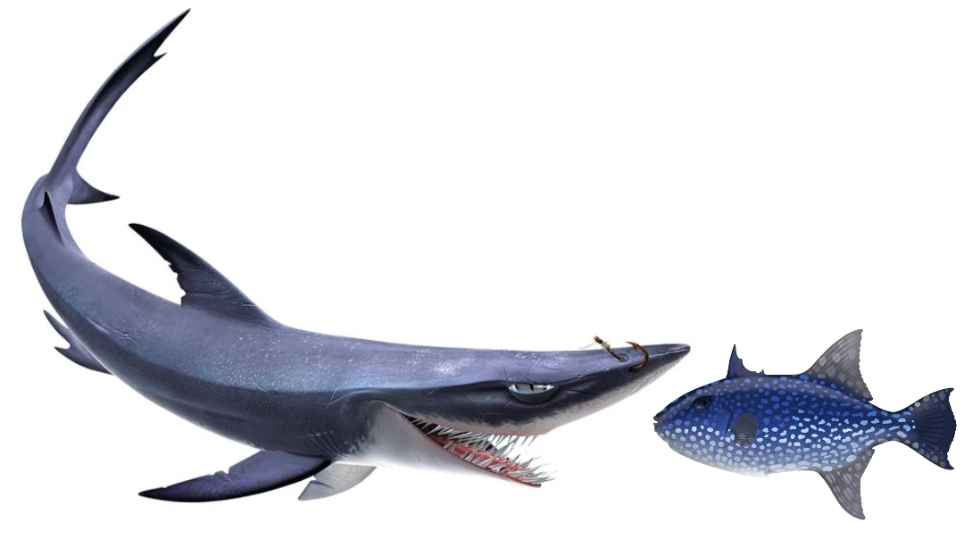 Chum and his Open Ocean Animal Friends | FictionRulezForever Wiki | Fandom