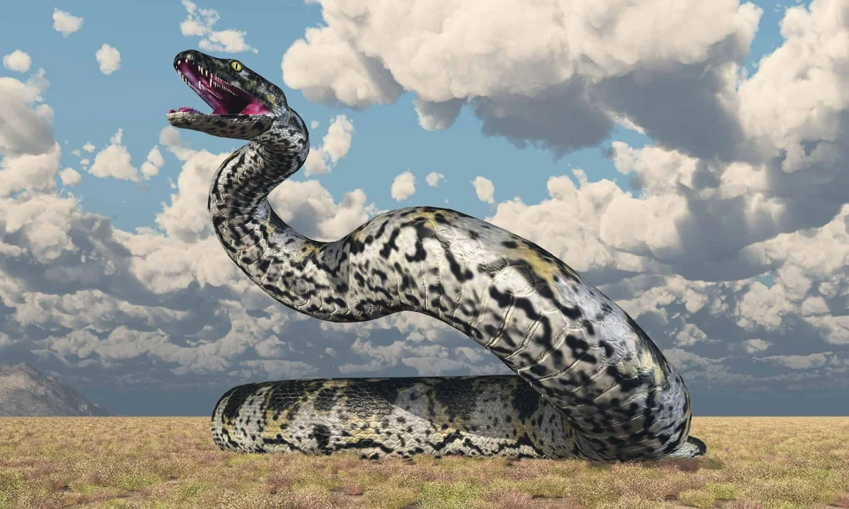 Titanoboa | FictionRulezForever Wiki | Fandom