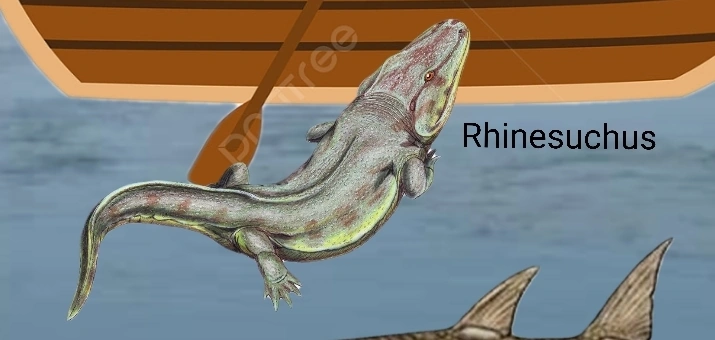 Rhinesuchus | FictionRulezForever Wiki | Fandom
