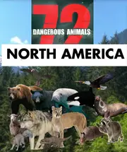 72 Most Dangerous Animals: North America | FictionRulezForever Wiki ...