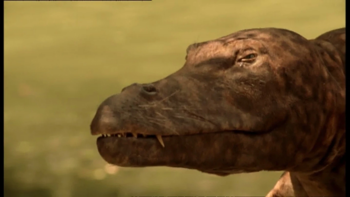 Ambulocetus Fictionrulezforever Wiki Fandom