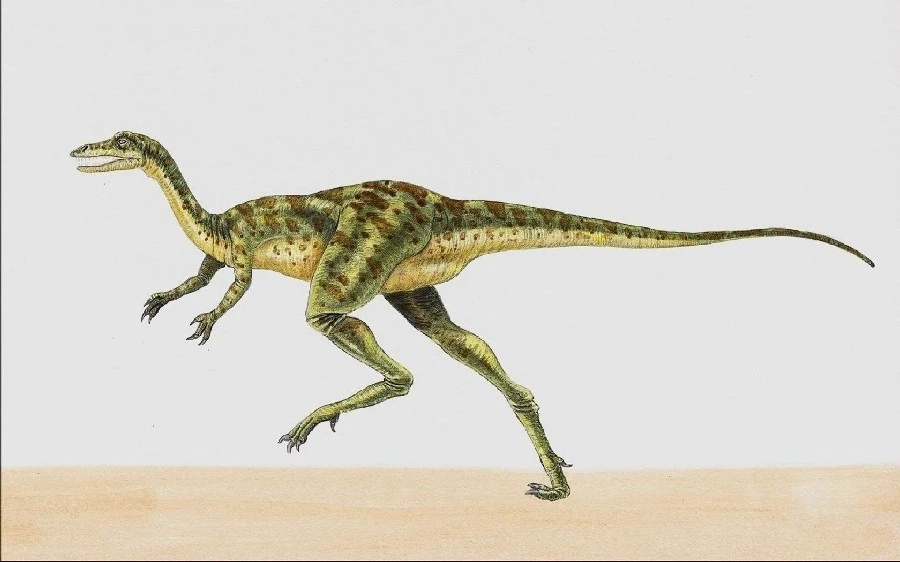 Coelurus | FictionRulezForever Wiki | Fandom