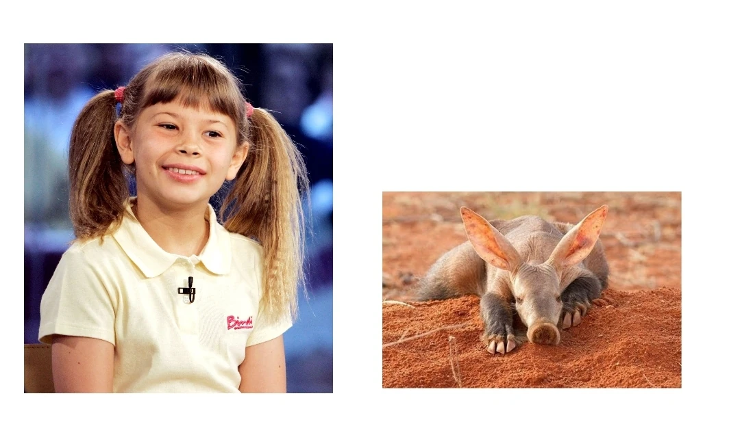 Bindi and her Wild Animal Friends | FictionRulezForever Wiki | Fandom