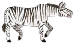 Eric Carle Zebra