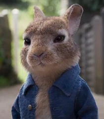 Peter Rabbit | FictionRulezForever Wiki | Fandom