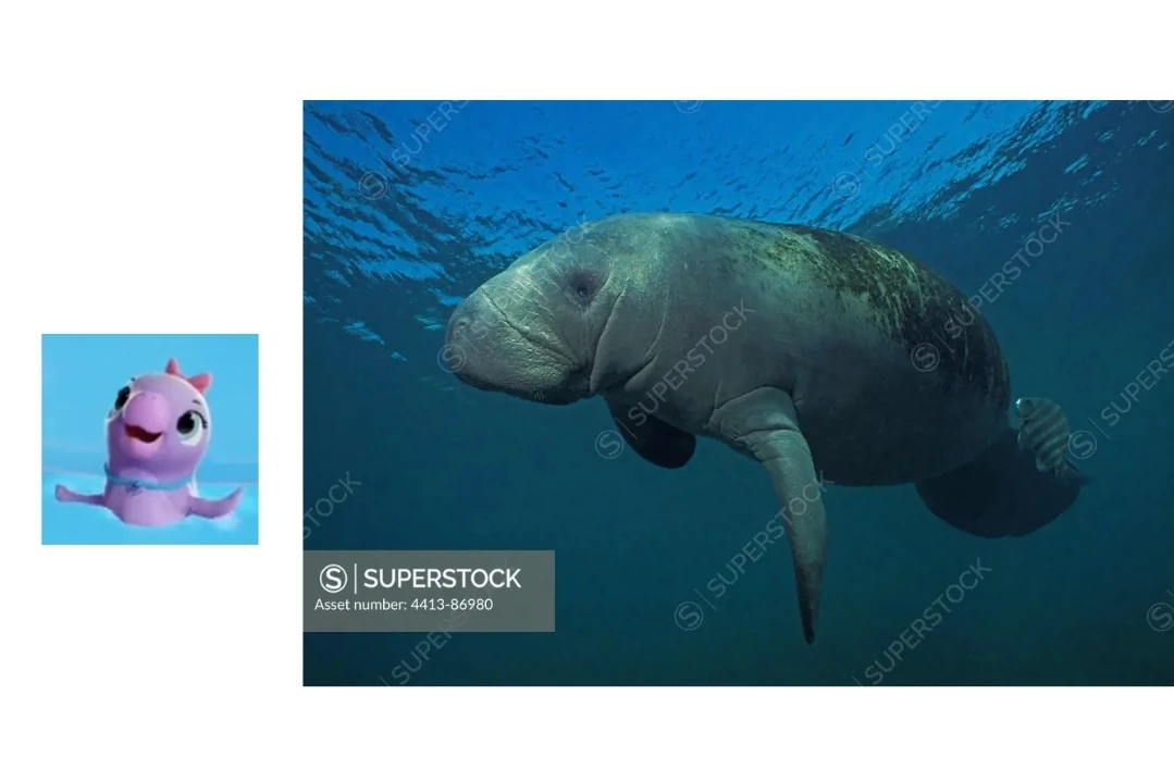 Malika the Manatee and her Okinawa Churaumi Aquarium Animal Friends ...