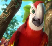 Scarlet Macaw | FictionRulezForever Wiki | Fandom